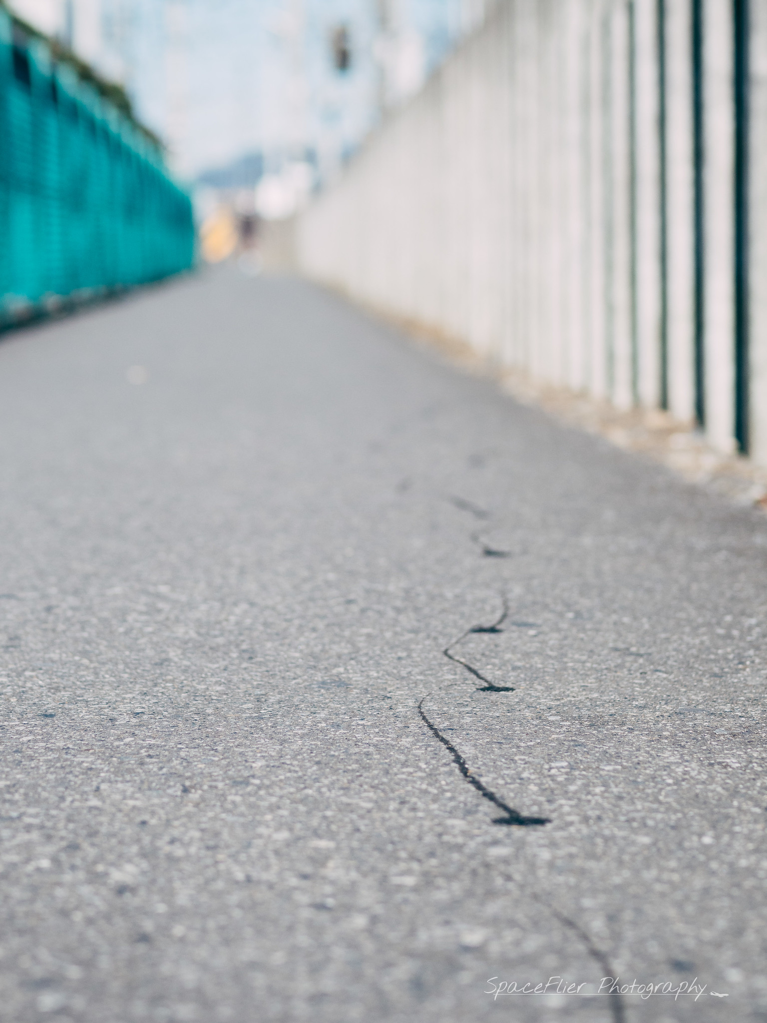 ナイトスナップ 渋谷 | SpaceFlier