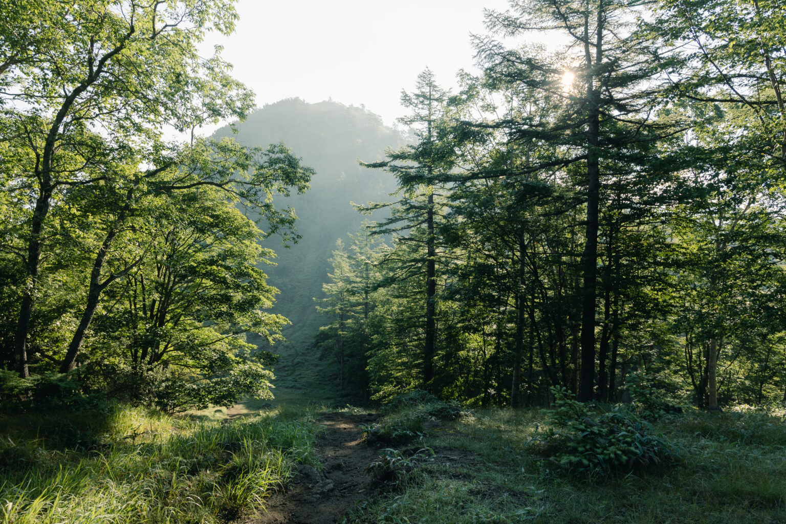 最初の1滴を求めて─多摩川の源流、笠取山へ | SpaceFlier